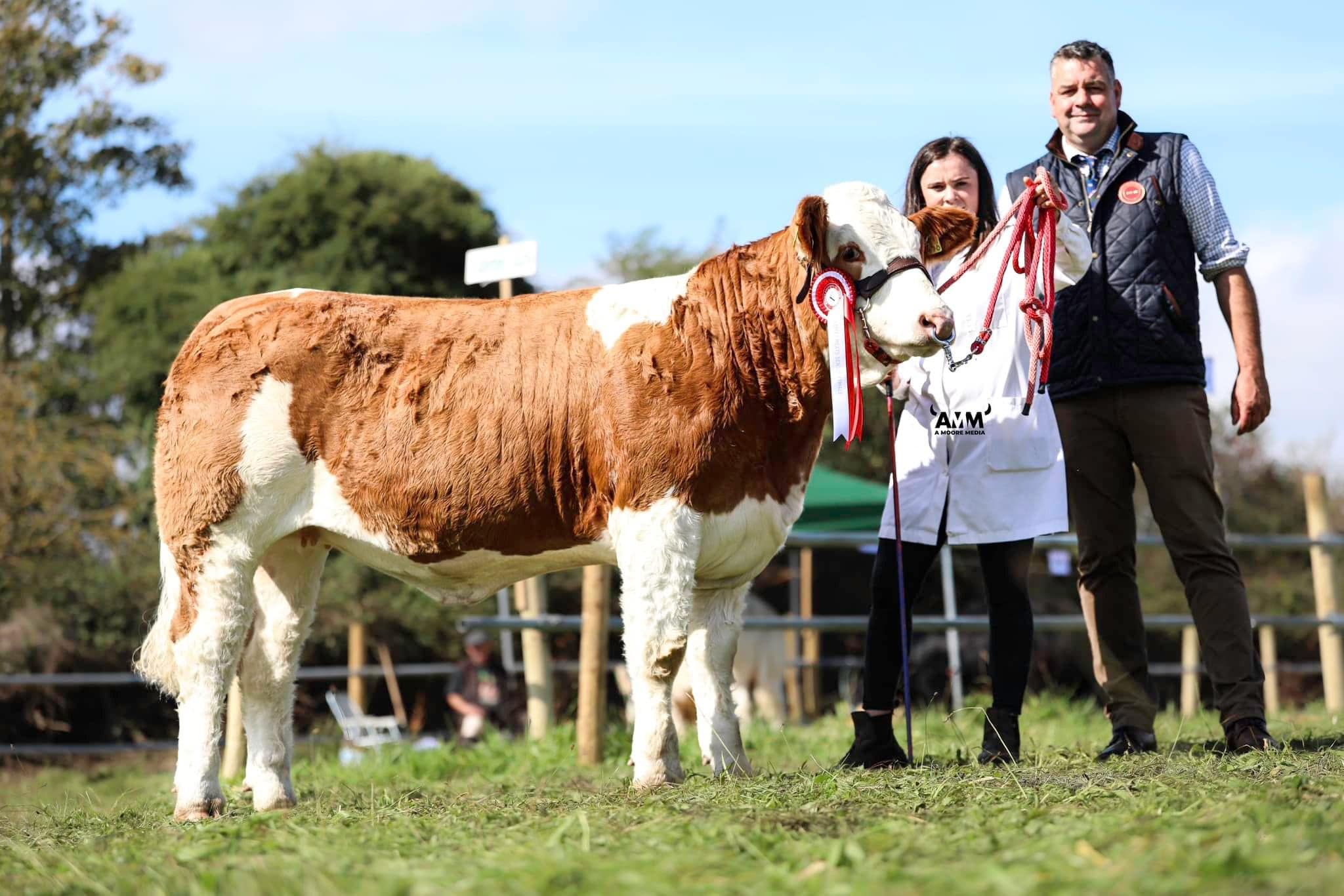 Entry Form Here for the North Eastern Simmental Club Calf Finals at The ...