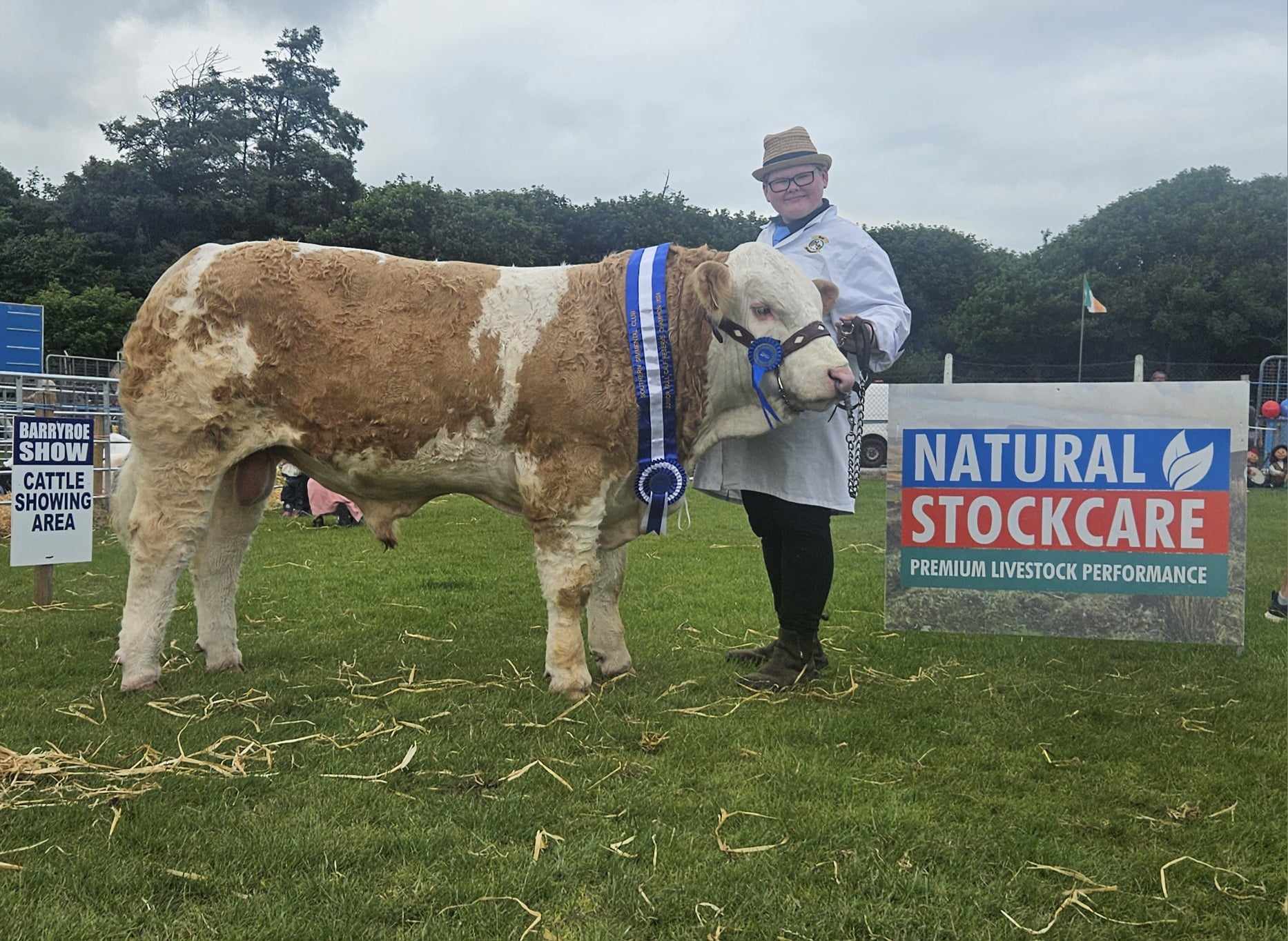 Southern Simmental Club Calf Championships Results & Photos from ...