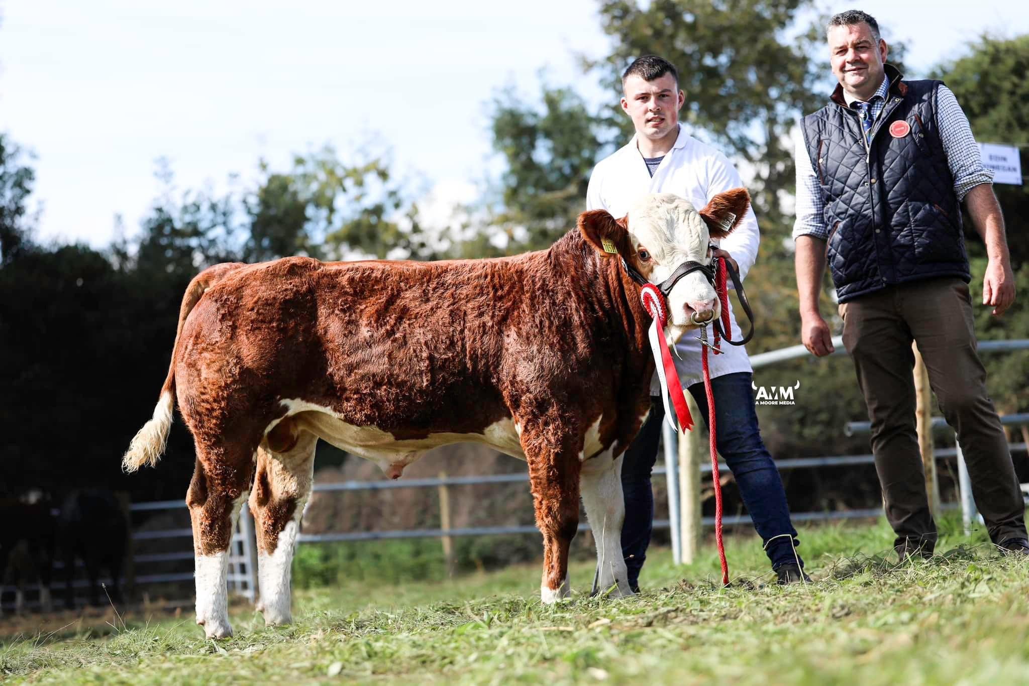 Entry Form Here for the North Eastern Simmental Club Calf Finals at The ...