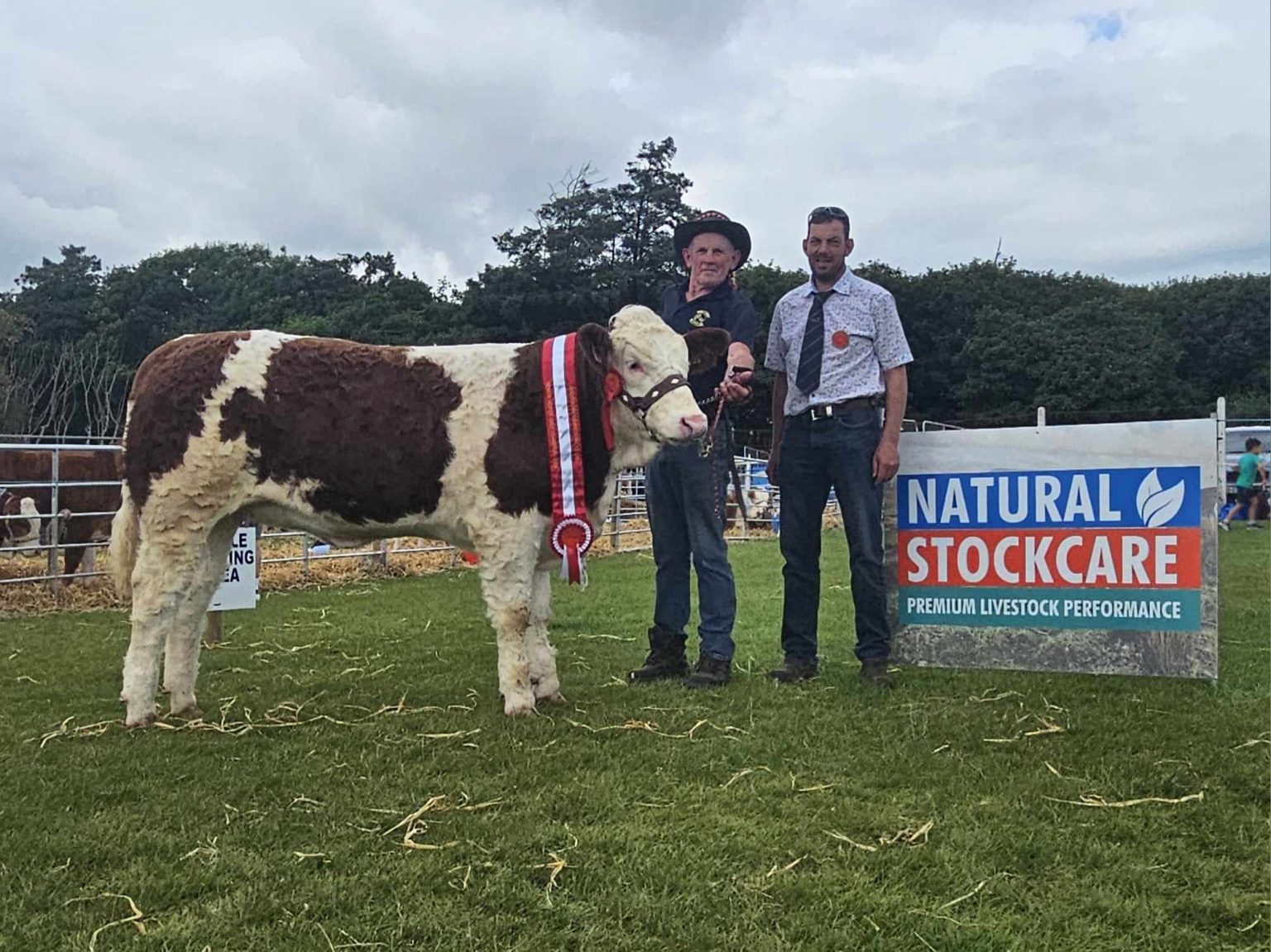 Southern Simmental Club Calf Championships Results & Photos from ...