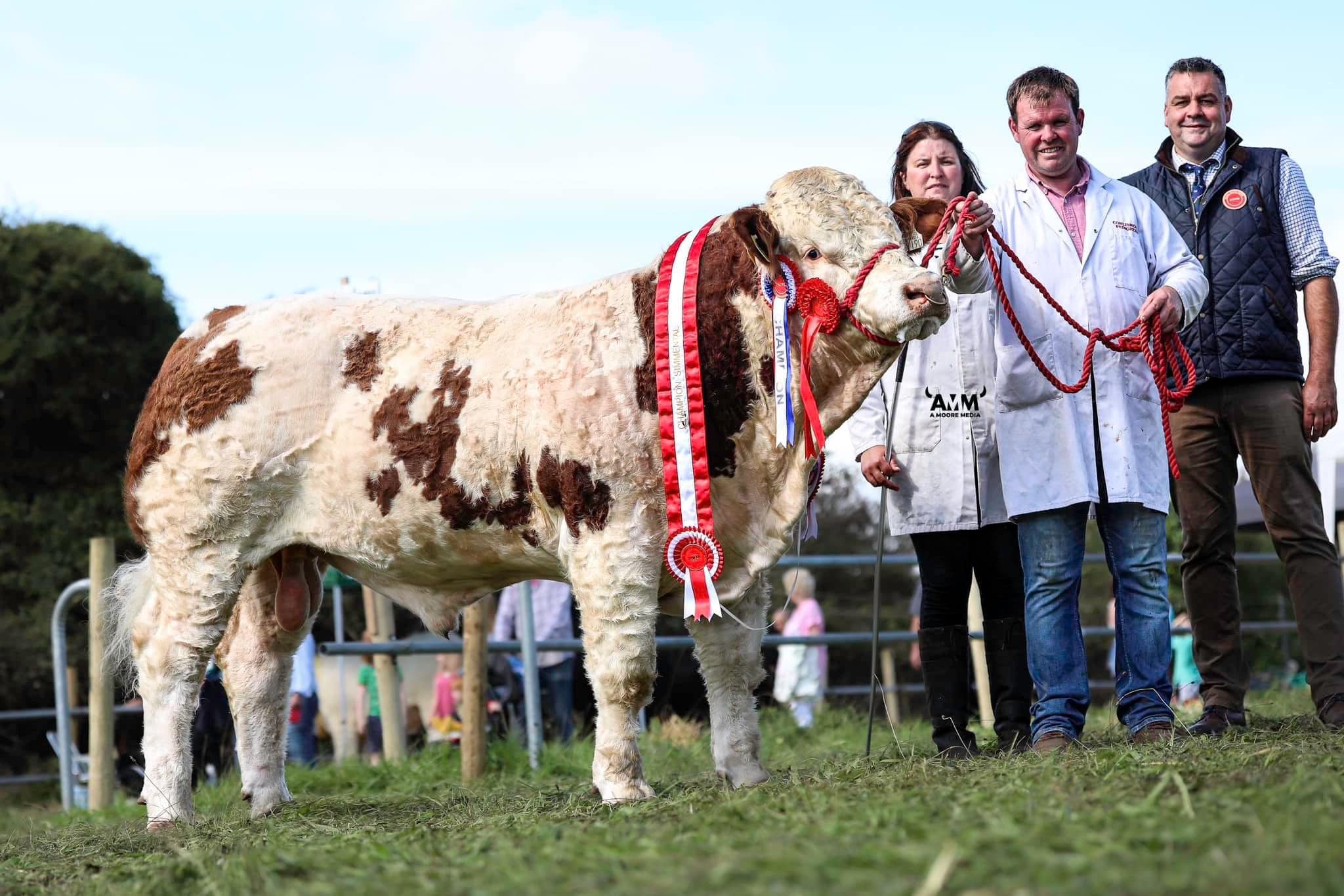 Entry Form Here for the North Eastern Simmental Club Calf Finals at The ...