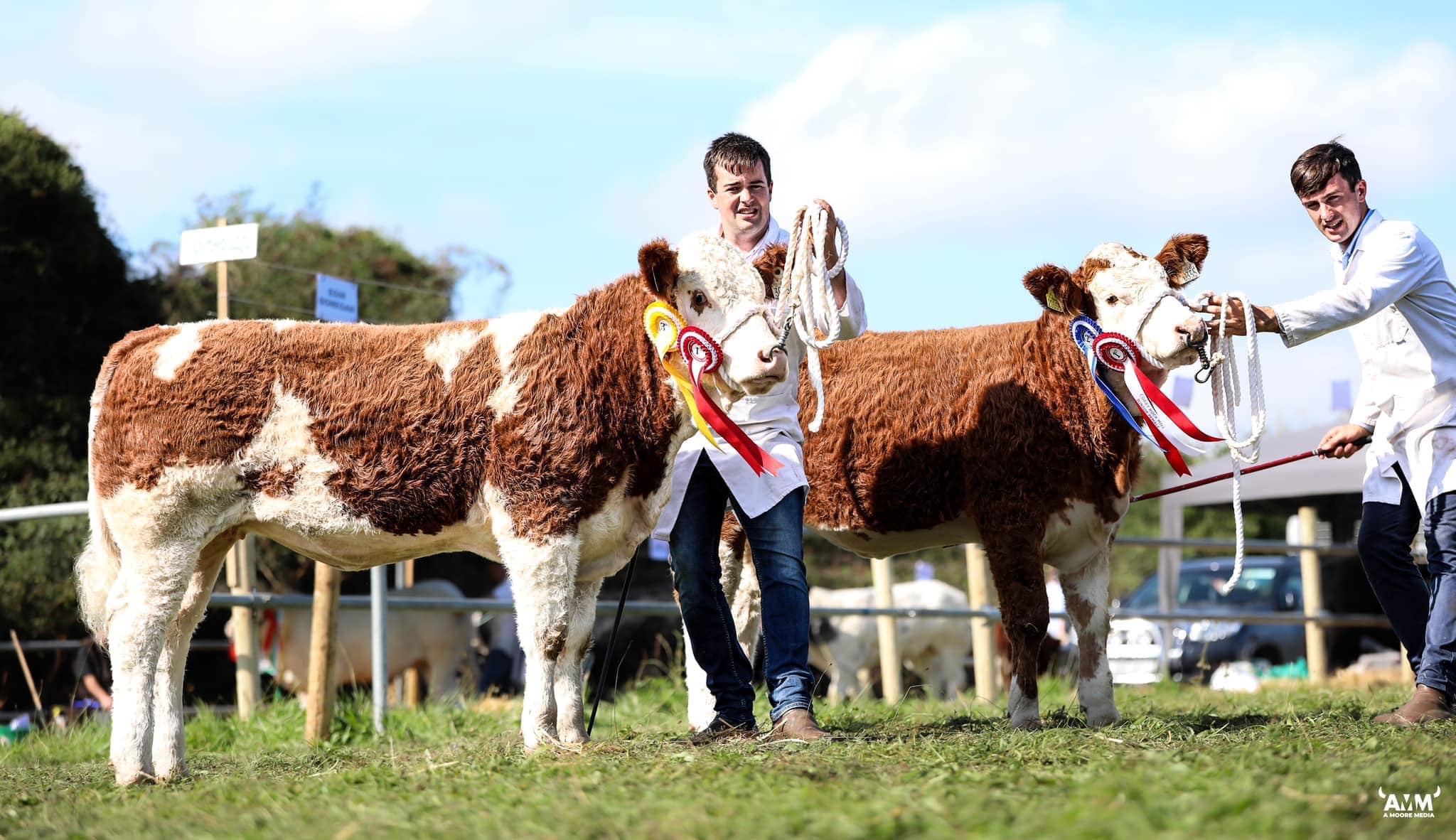 Entry Form Here for the North Eastern Simmental Club Calf Finals at The ...