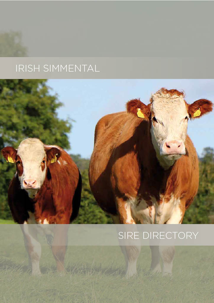 Home - Irish Simmental Cattle Society