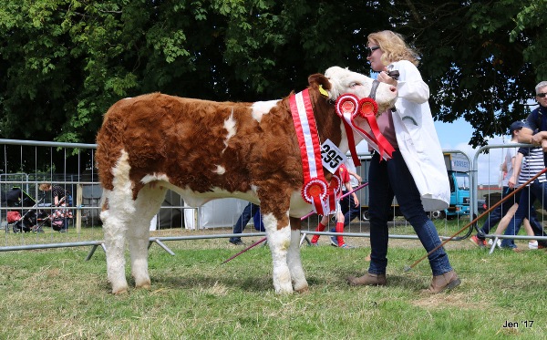 Charleville Show 2017 - Irish Simmental Cattle Society