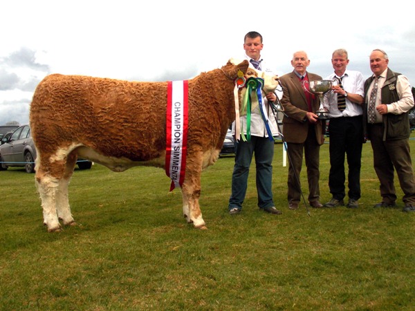 Bandon Show, Sunday May 18th, Results - Irish Simmental Cattle Society