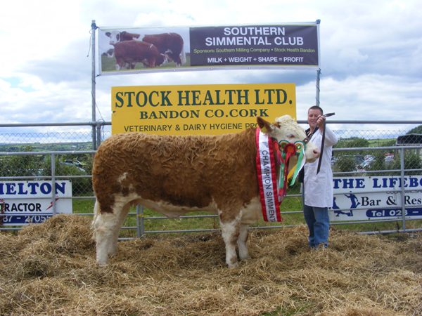 Barryroe Show 2012 - Irish Simmental Cattle Society