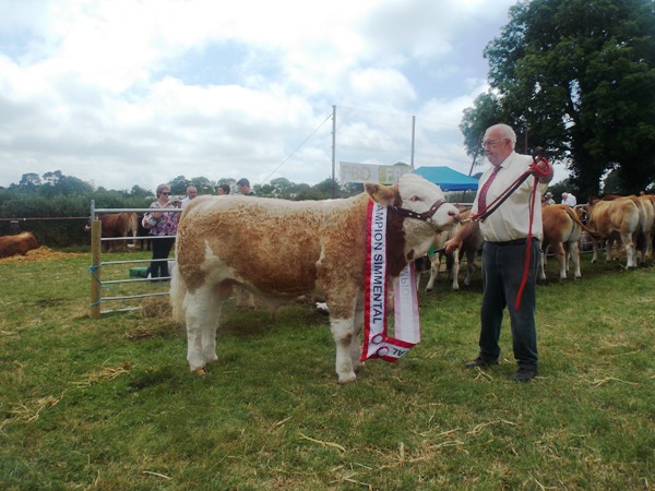 Charleville Show Result - Irish Simmental Cattle Society