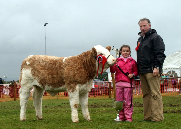 Clonaslee Show 2011 - Irish Simmental Cattle Society