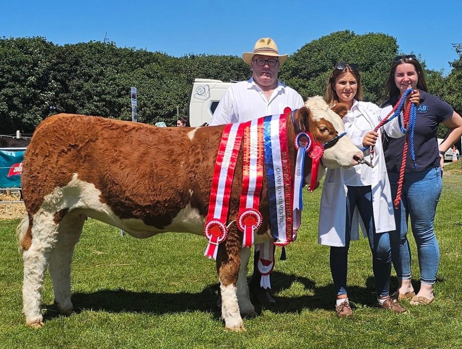 SHOW CHAMPIONS 2025 - Irish Simmental Cattle Society