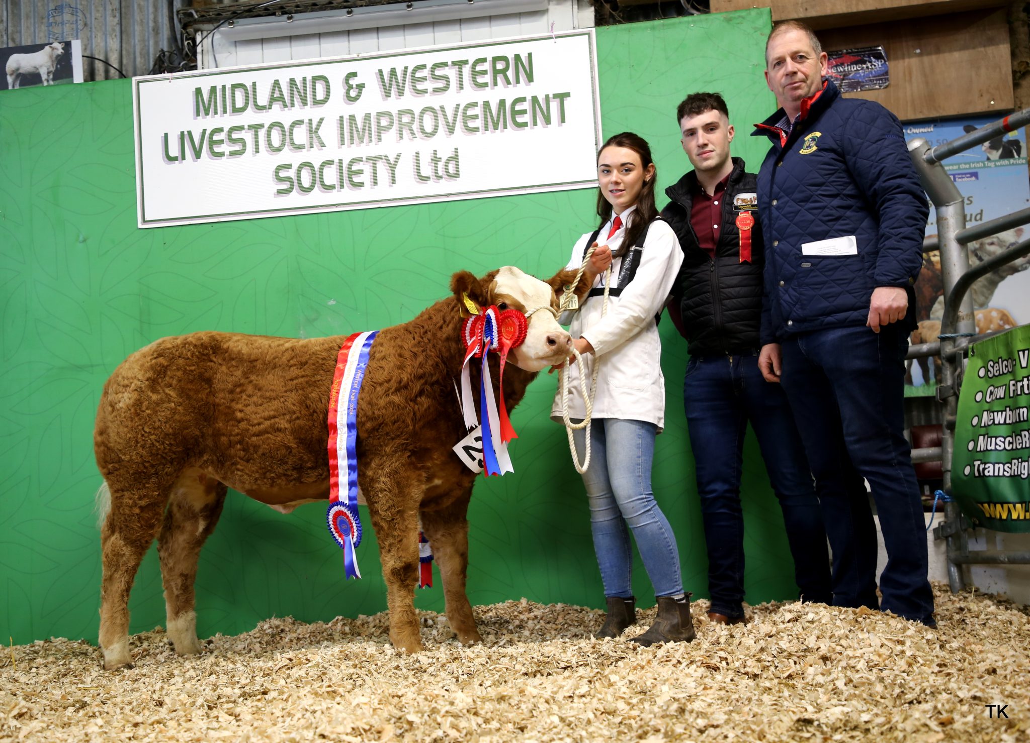 Home - Irish Simmental Cattle Society