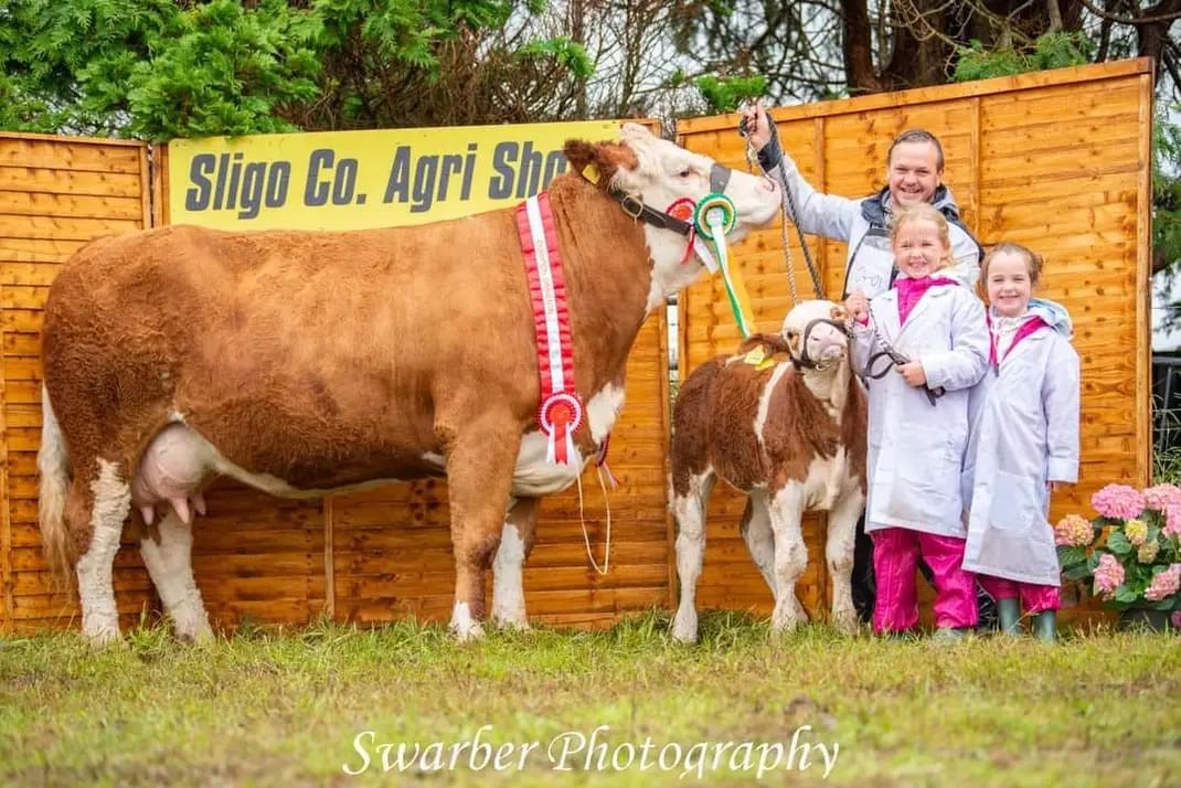 SHOW CHAMPIONS 2023 - Irish Simmental Cattle Society