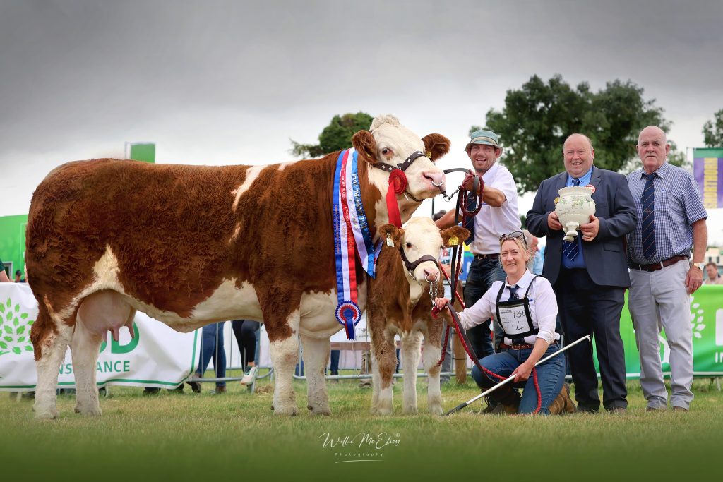 Home - Irish Simmental Cattle Society