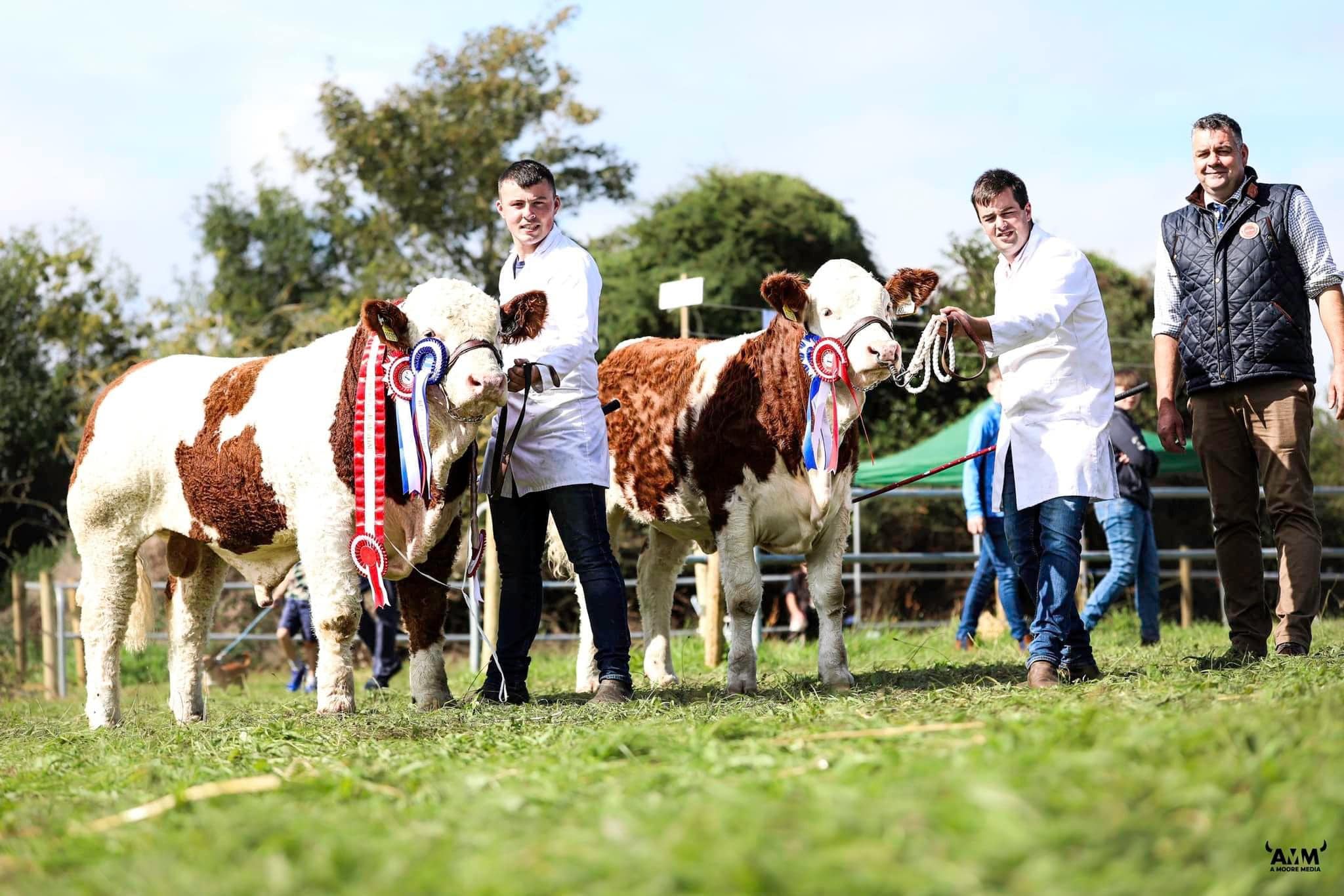 Entry Form Here for the North Eastern Simmental Club Calf Finals at The ...